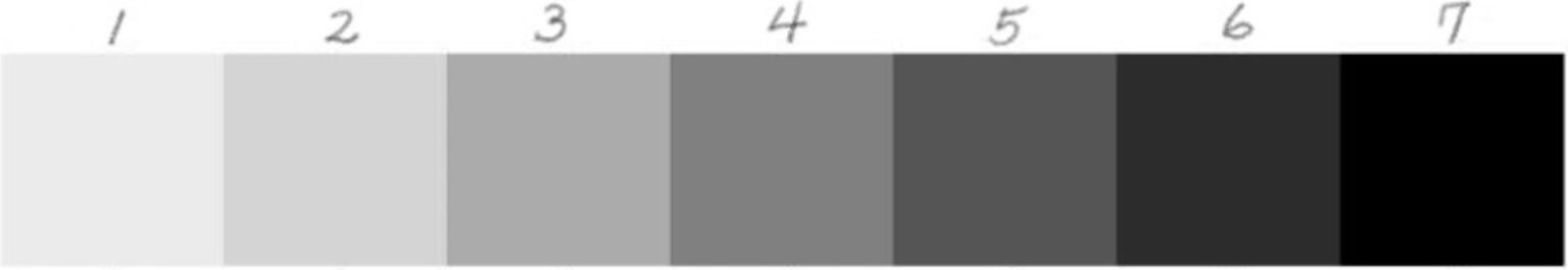 Value: Lesson 1 - What is Value in Art? - NuArtPlanet