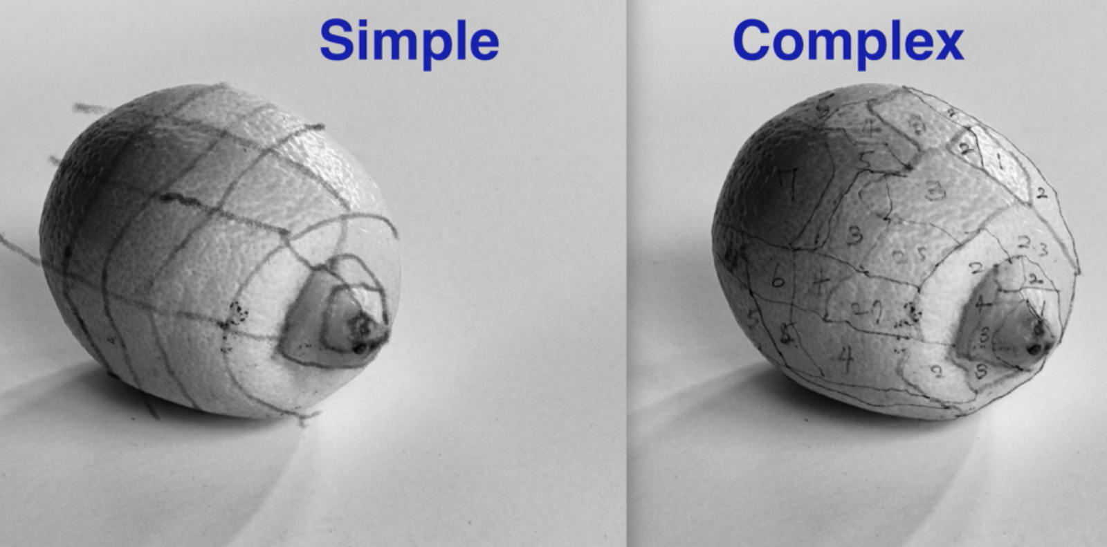 Value: Lesson 2 - Value Scale Guide in Painting & Drawing - NuArtPlanet