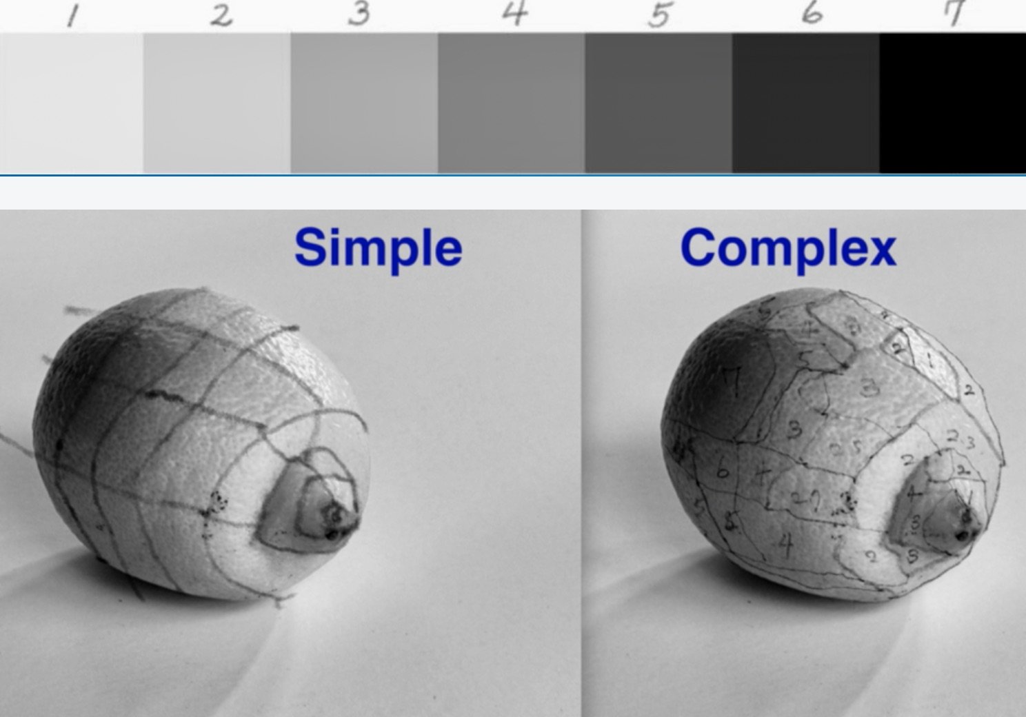 Value: Lesson 2 - Value Scale Guide in Painting & Drawing - NuArtPlanet