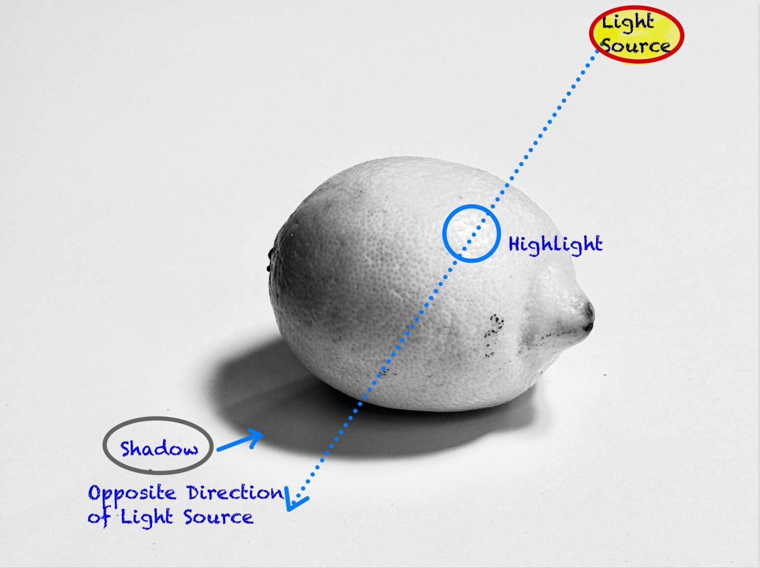 Value: Lesson 4 - Light and Shadow: Principles and Perception - NuArtPlanet