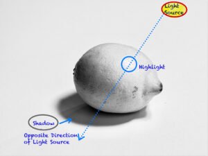 Value: Lesson 4 - Light and Shadow: Principles and Perception - NuArtPlanet
