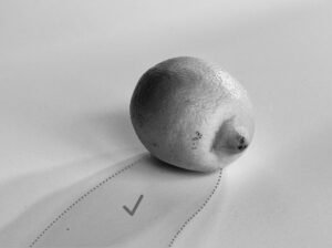 Value: Lesson 4 - Light and Shadow: Principles and Perception - NuArtPlanet