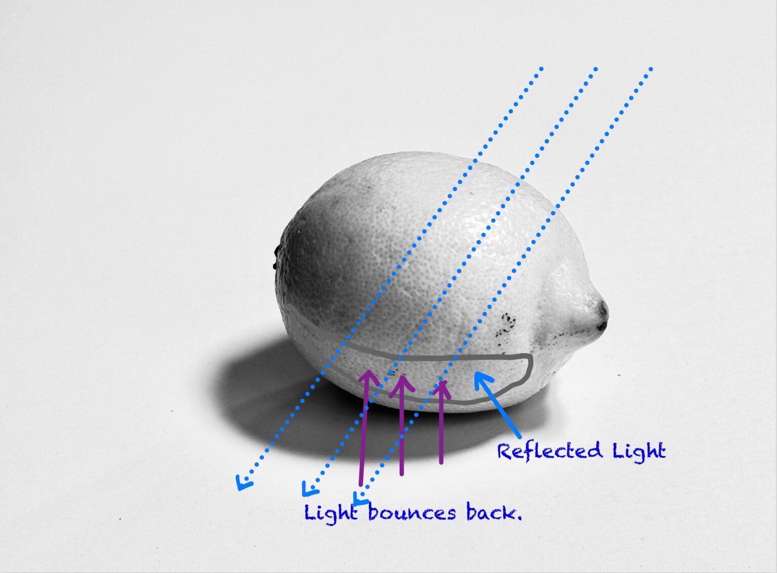 Value: Lesson 4 - Light and Shadow: Principles and Perception - NuArtPlanet