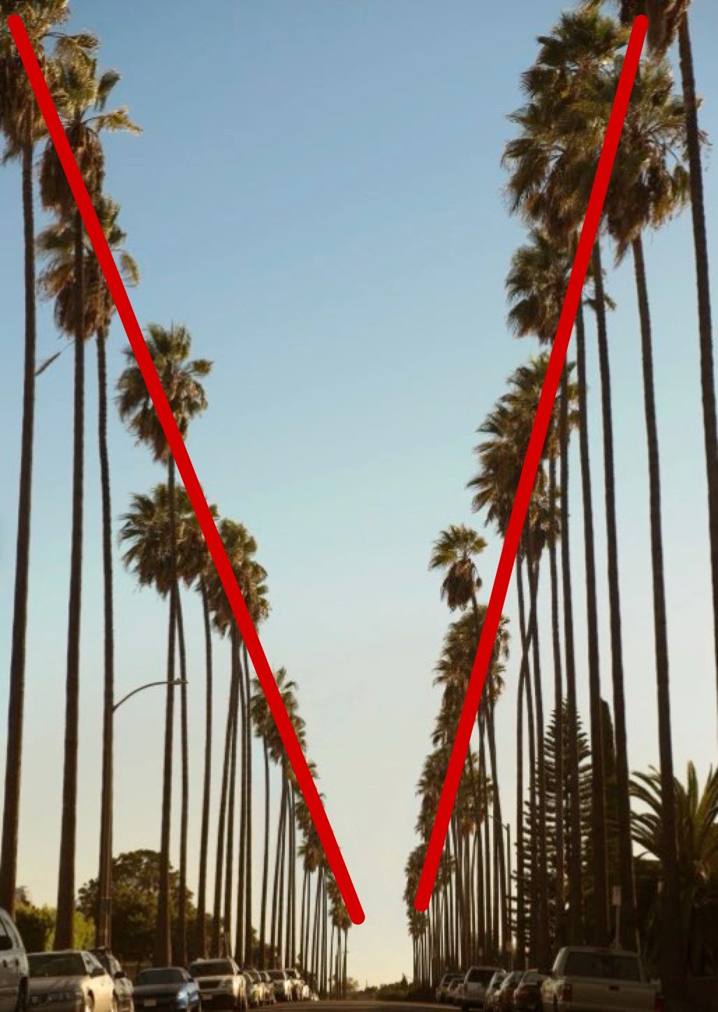 The Language of Line: The Power and Expression of Line in Art - NuArtPlanet